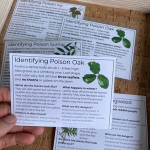 6 Poisonous Plant Identification Info Cards | Download & Print Info ...