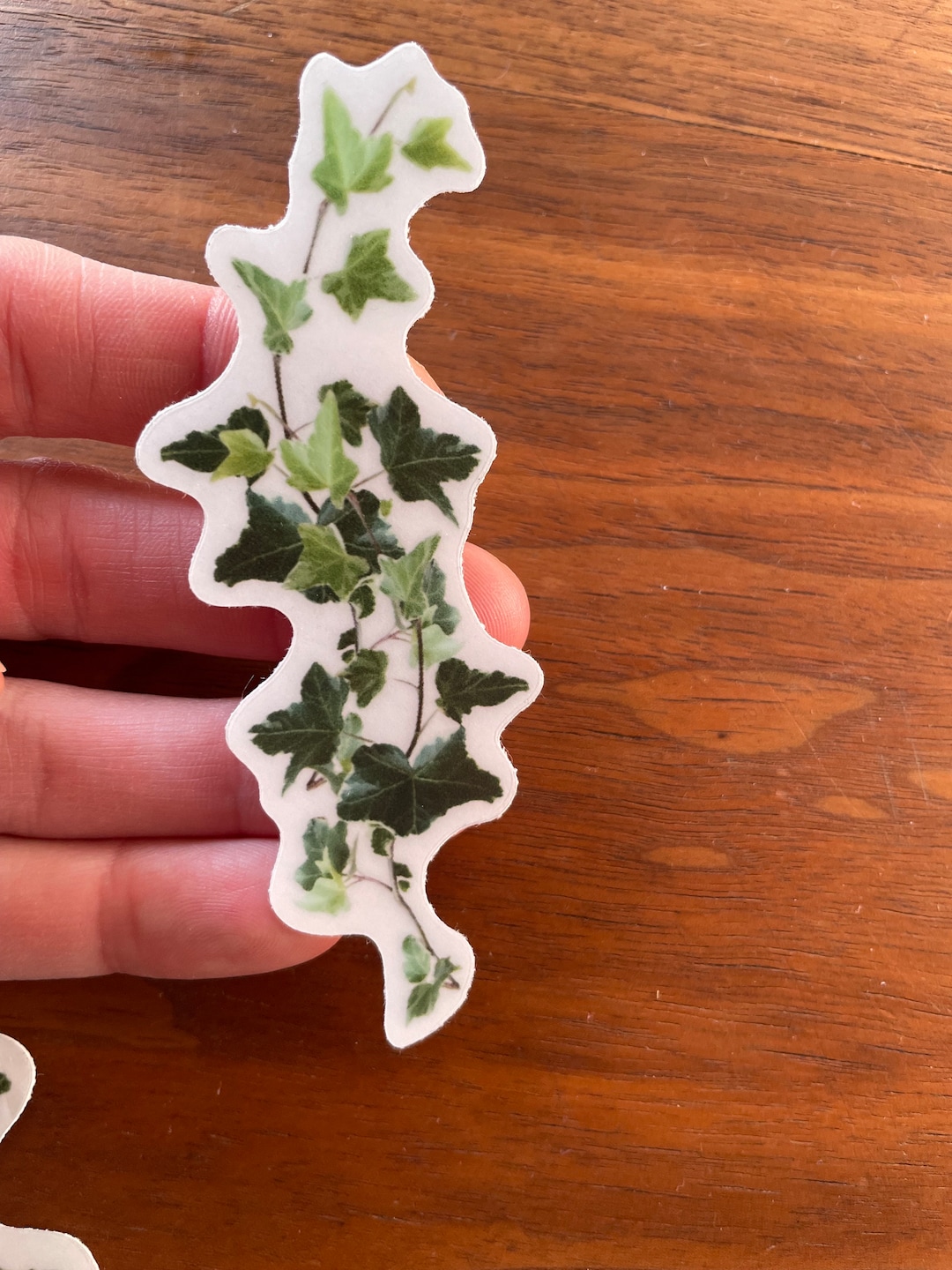 Ivy Vine Sticker That is Waterproof and Safe for Outdoors. Waterproof ...