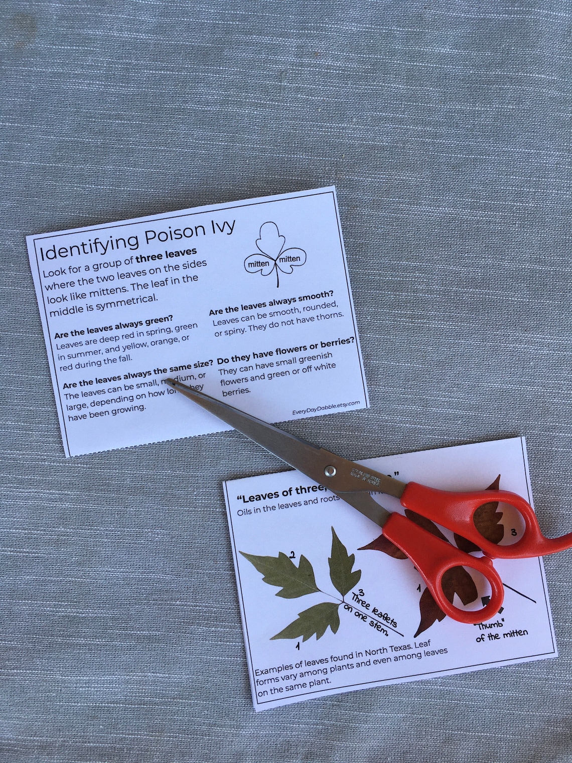 Digital Poison Ivy Identification Card Print to Make 2 | Etsy