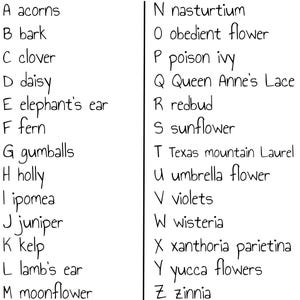 Printable Alphabet for a Woodland Classroom or Nursery - Digital ...