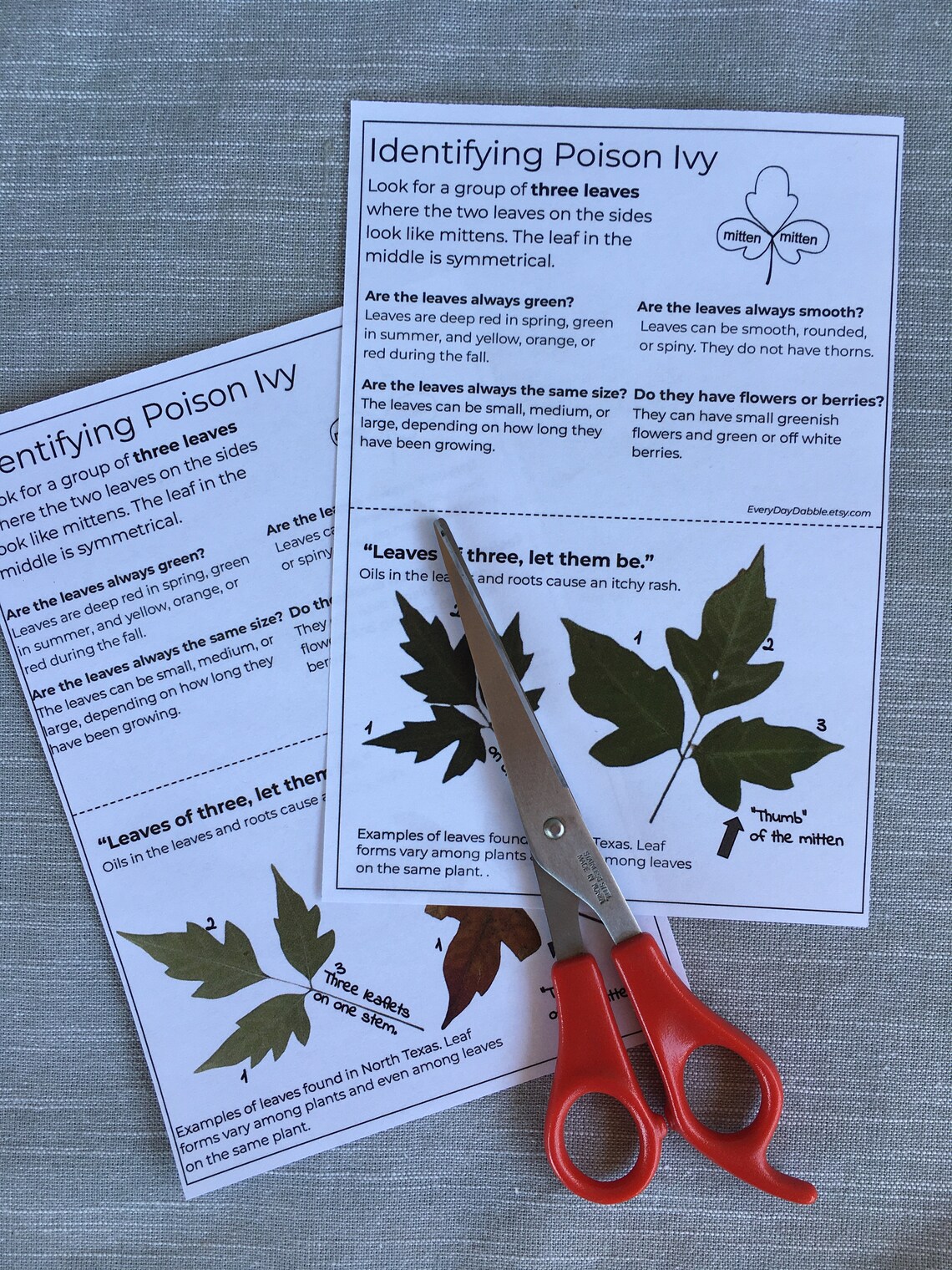 Digital Poison Ivy Identification Card Print to Make 2 | Etsy