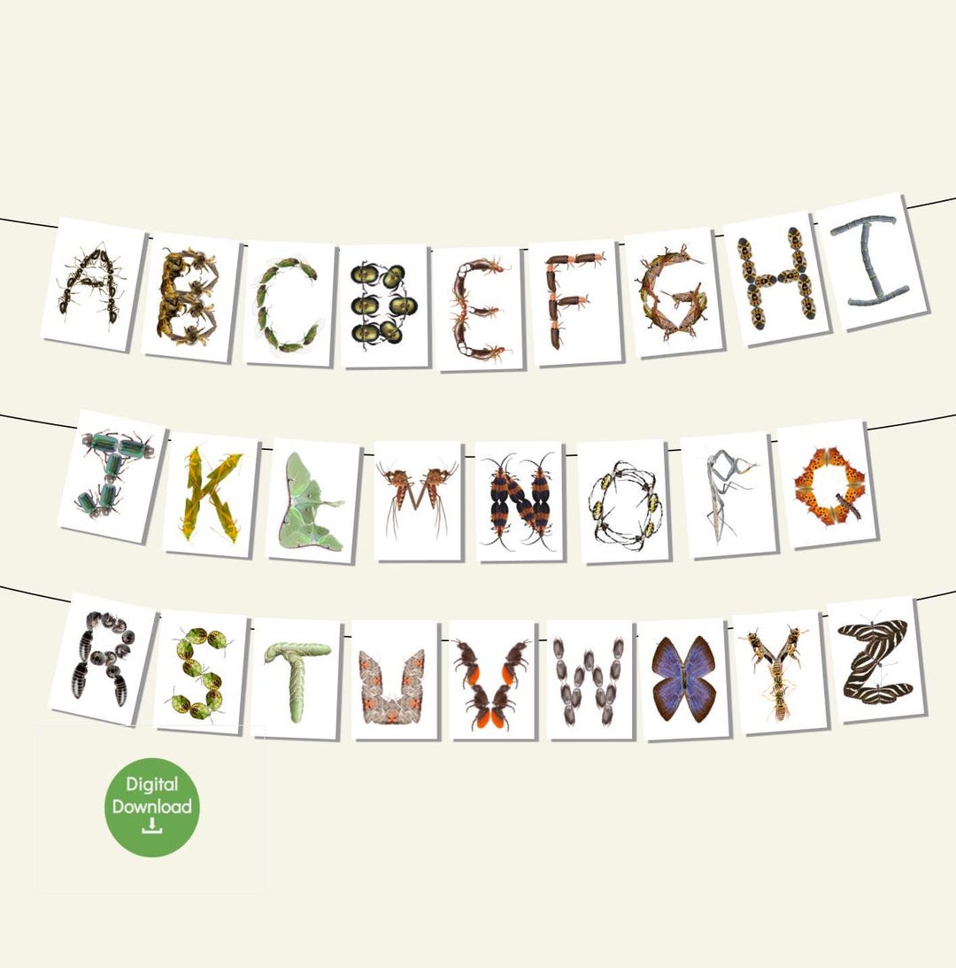Phonetic Bug Alphabet Printable - Insect ABC Cards for Classroom ...