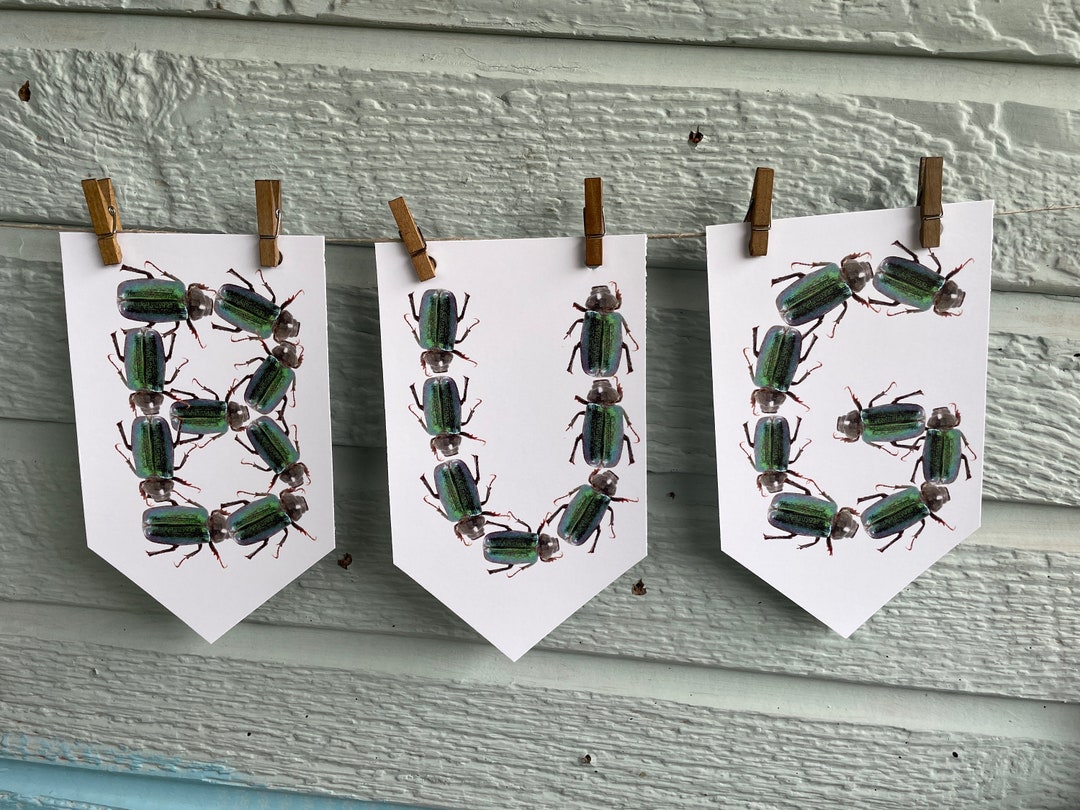 Junebug Custom Name Sign or Insect Birthday Banner - Etsy