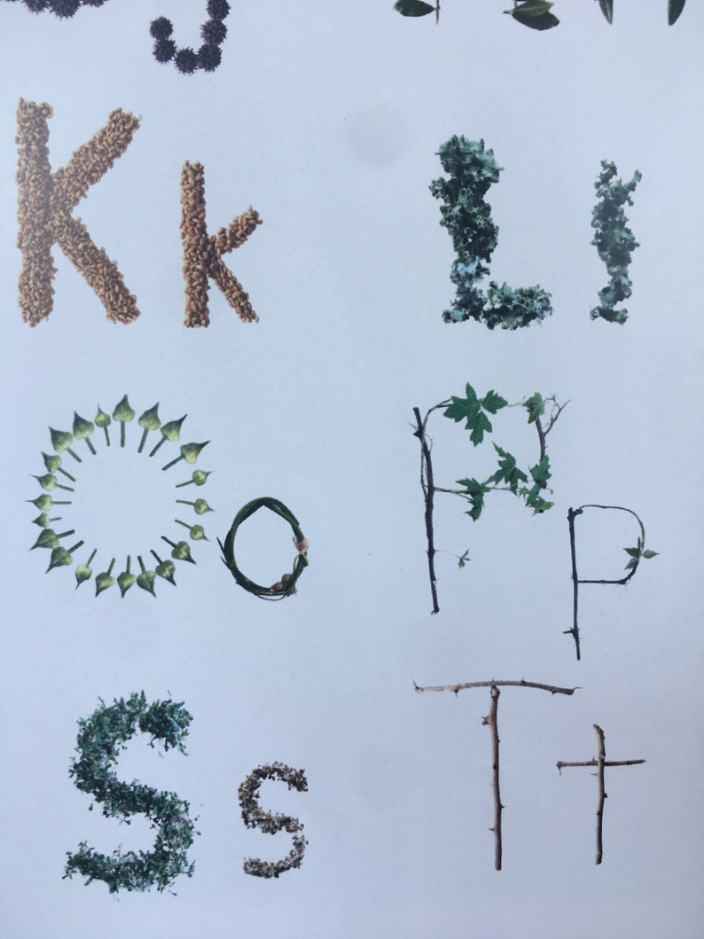 Digital Woodland Alphabet Poster Botanical Alphabet Poster - Etsy