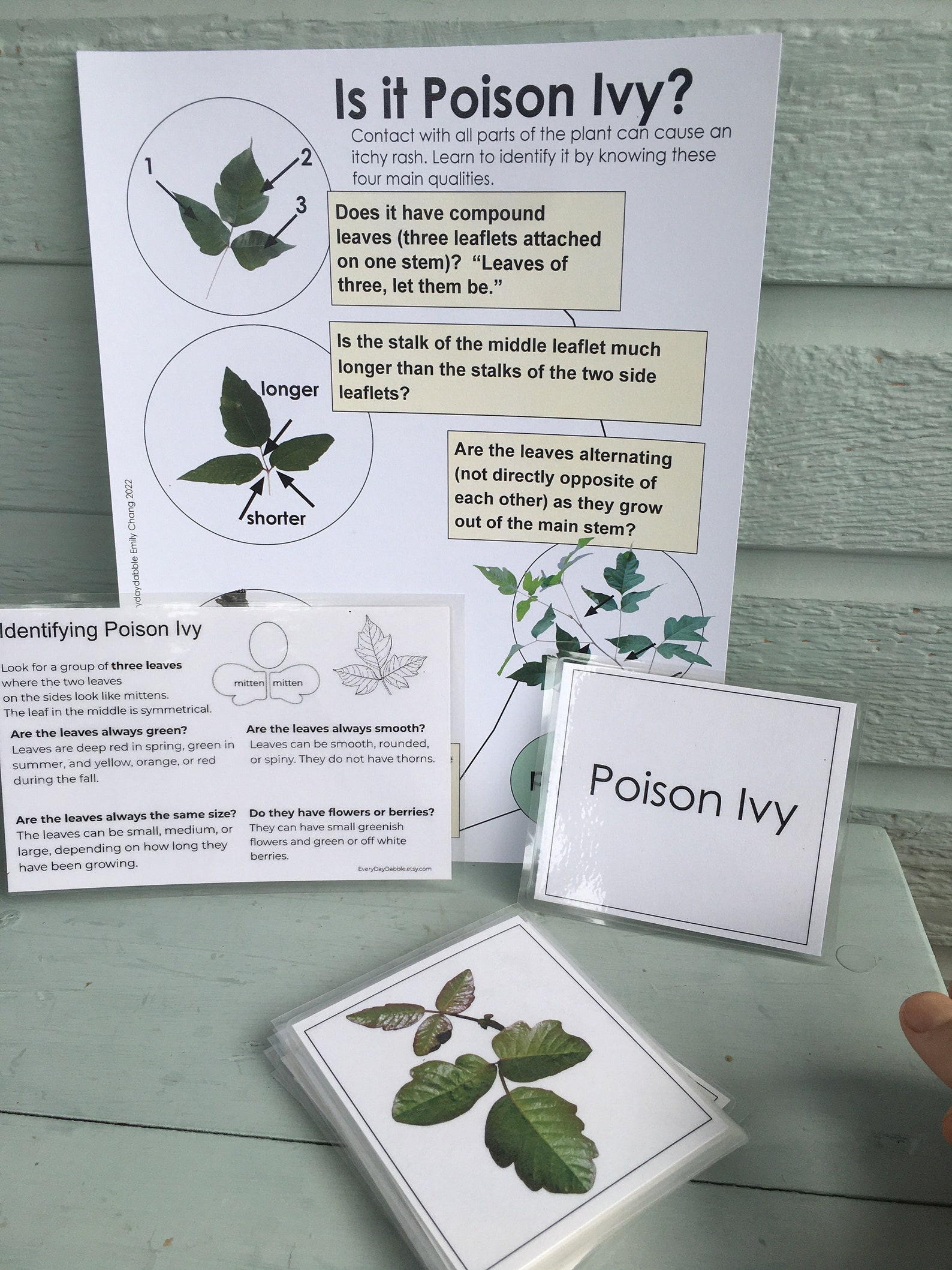Digital Poison Ivy Identification Bundle Learn How to - Etsy