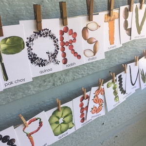 Printable Fruits and Vegetables Alphabet Phonetic Embedded - Etsy