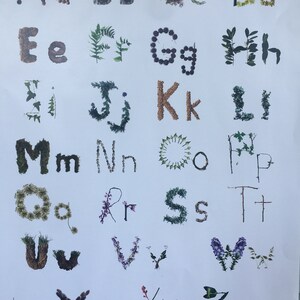 Digital Woodland Alphabet Poster Botanical Alphabet Poster - Etsy