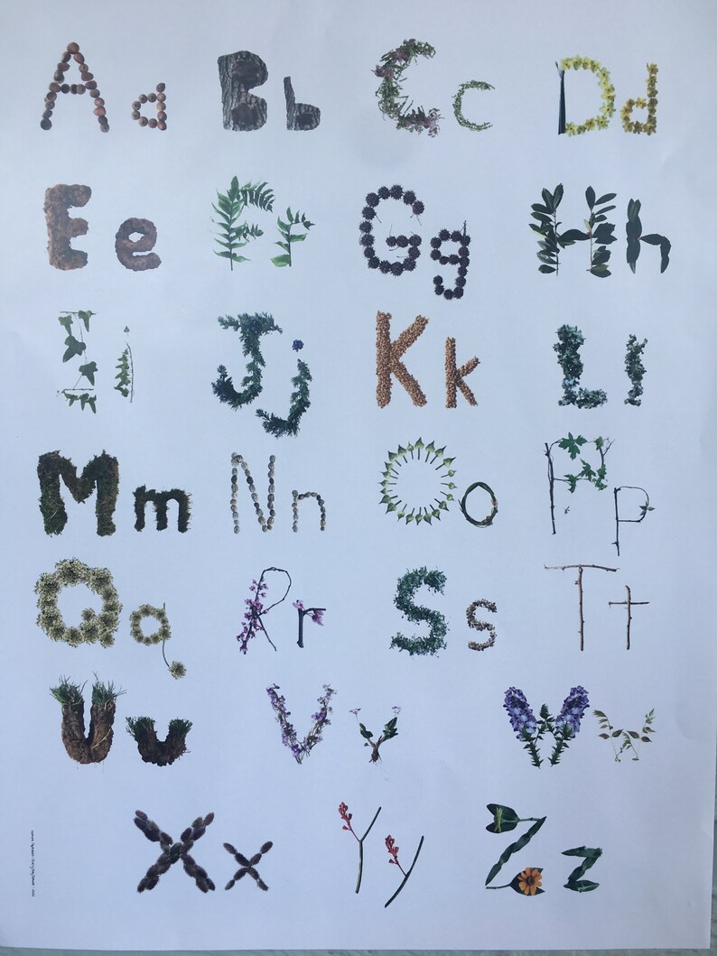 Digital Woodland Alphabet Poster Botanical Alphabet Poster - Etsy
