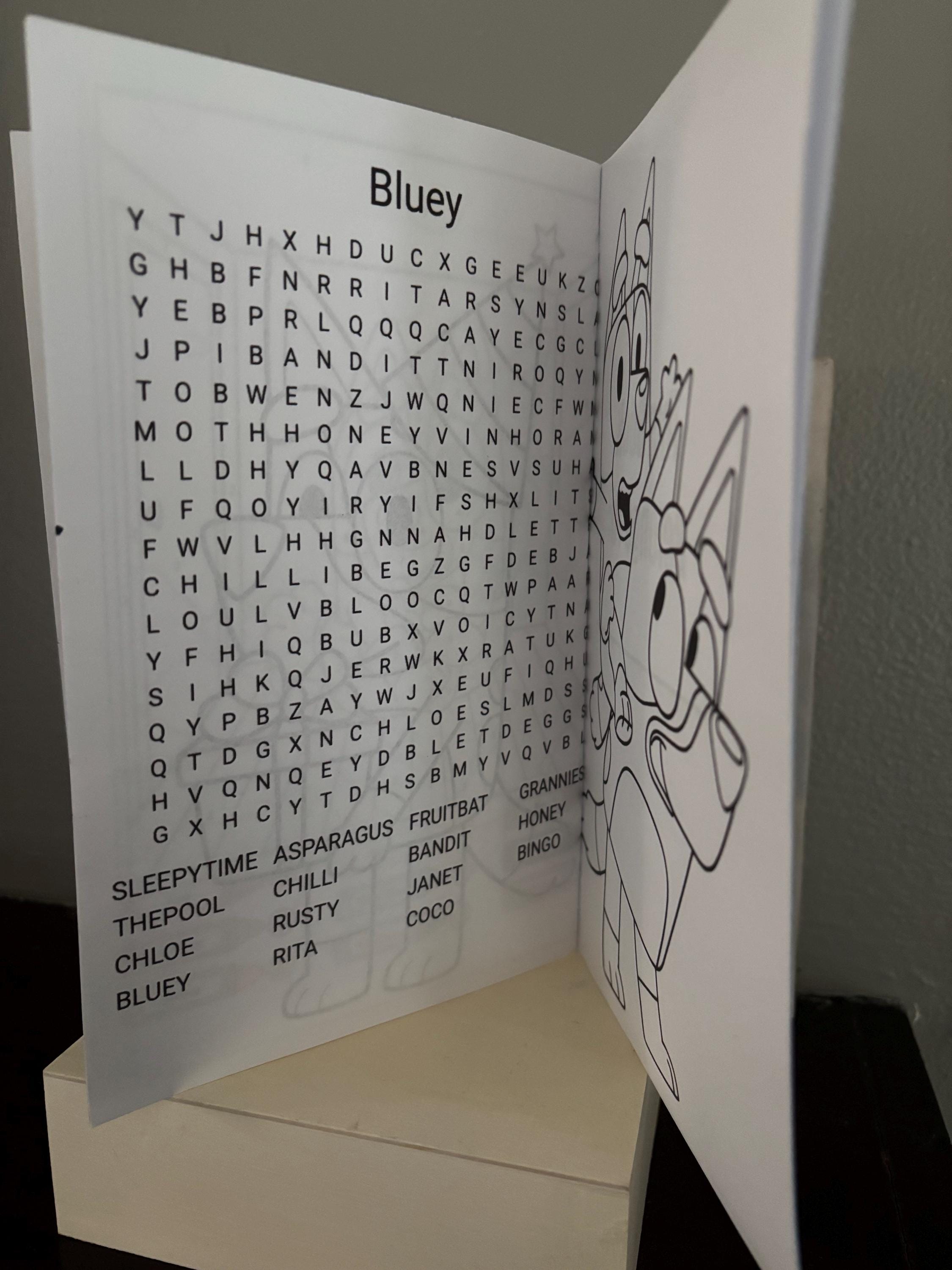 Bluey Birthday Coloring and Activity Book 4 Crayons - Etsy