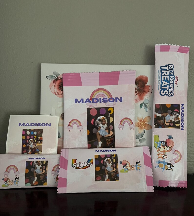 Custom Bluey Themed Bundle Snack Set Unfilled - Etsy