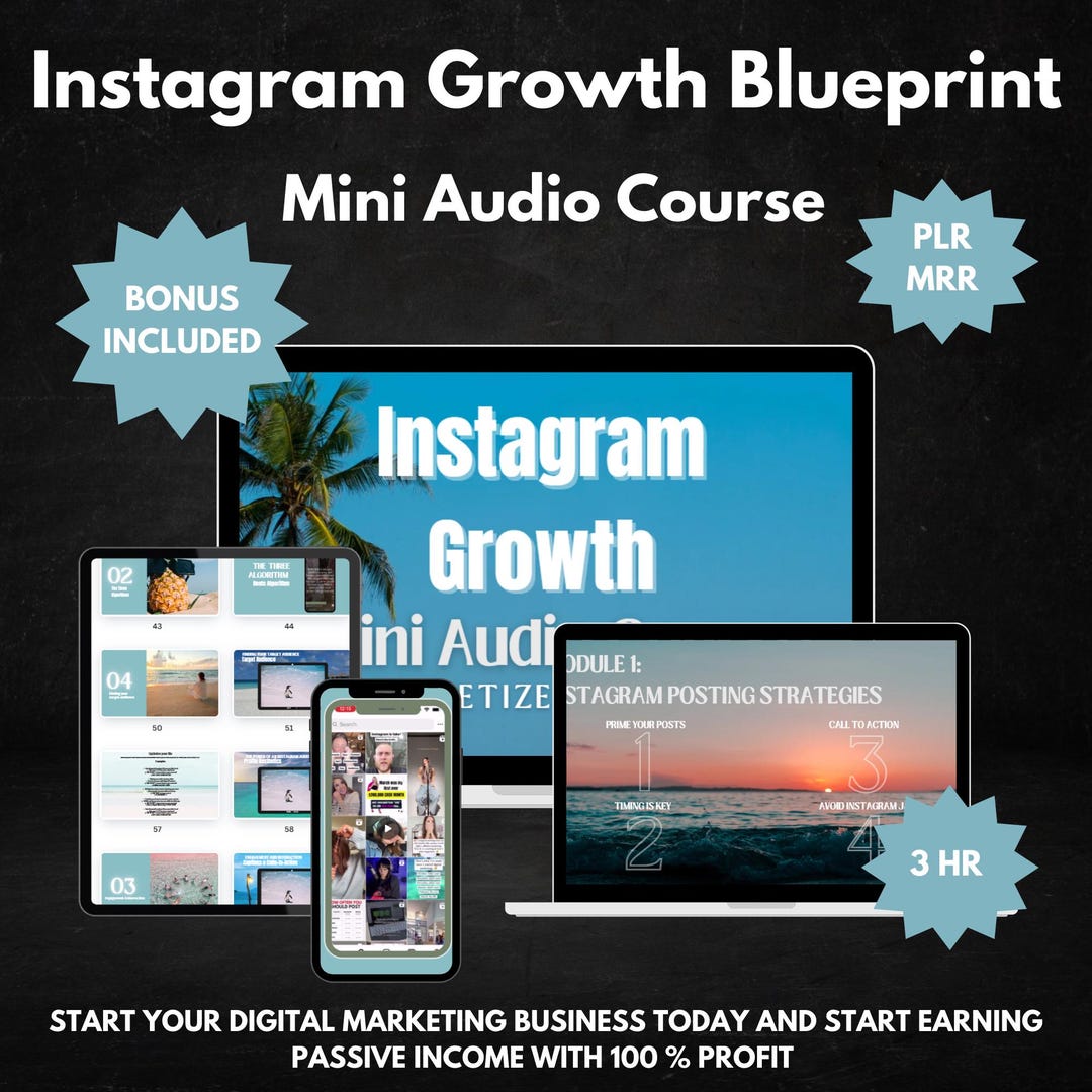 Instagram Growth Blueprint | Social Media Marketing Course | PLR & MRR Digital Product | Canva ...