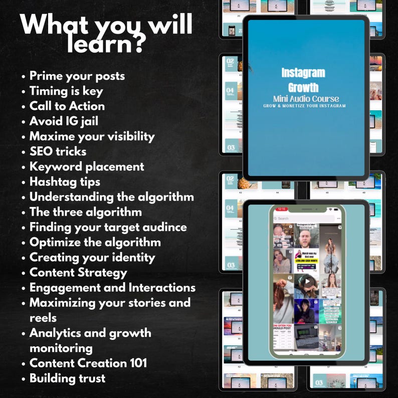 Instagram Growth Blueprint | Social Media Marketing Course | PLR & MRR Digital Product | Canva ...