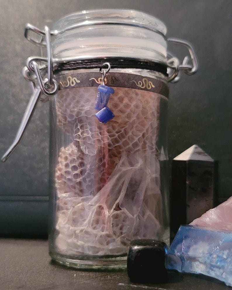 Shed Snake Skin Crafts, Snake Skin Magick, Snake Skin Rituals - Etsy