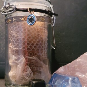 Shed Snake Skin Crafts, Snake Skin Magick, Snake Skin Rituals - Etsy