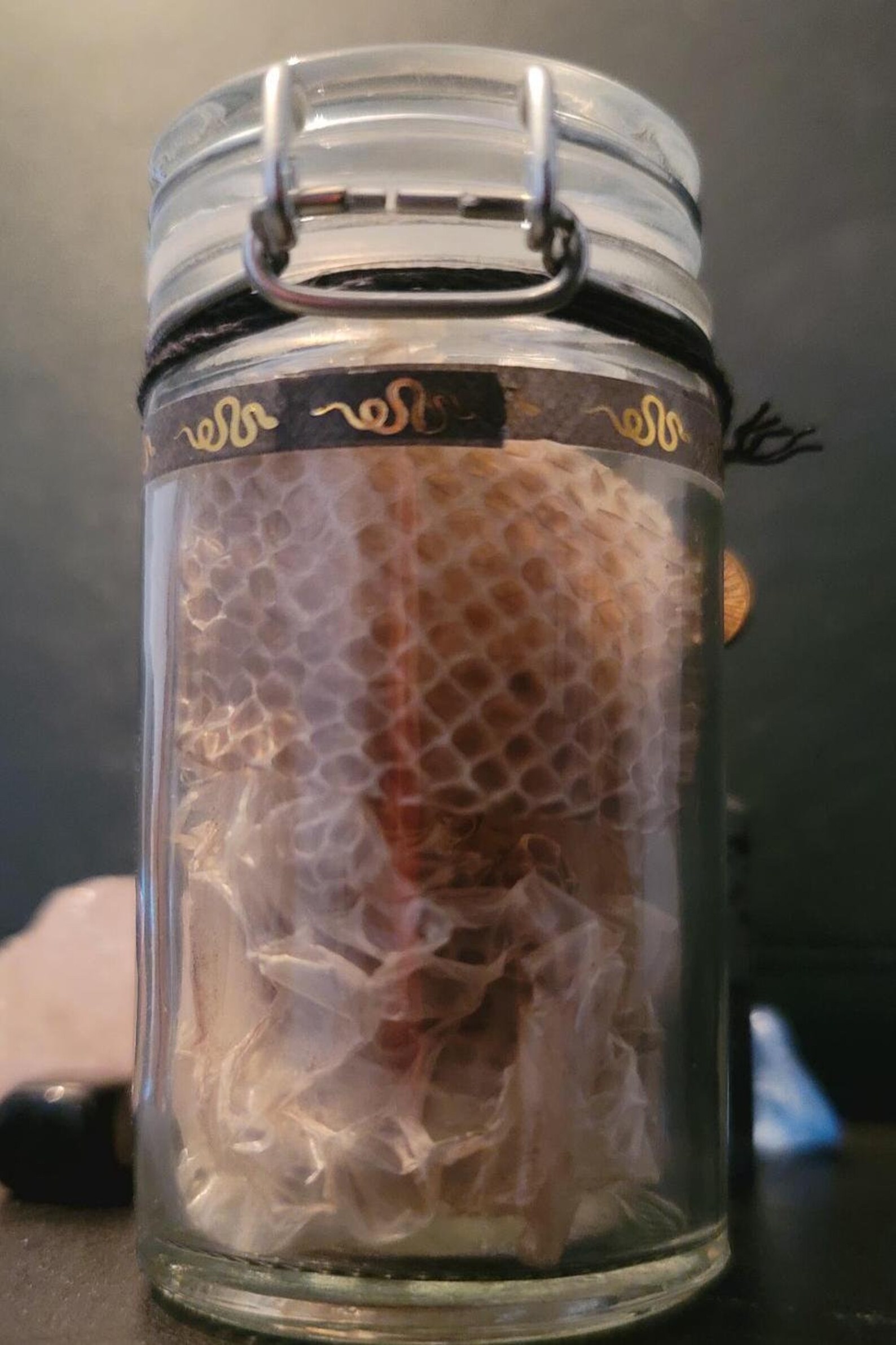 Shed Snake Skin Crafts, Snake Skin Magick, Snake Skin Rituals - Etsy