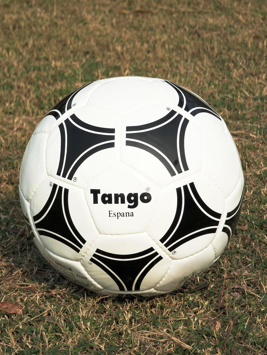 Tango Premier League Soccer Ball | World Cup Match Style Football Size ...
