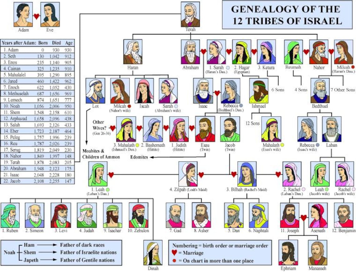 Genealogy of the 12 Tribes Chart or Bookmark - Etsy