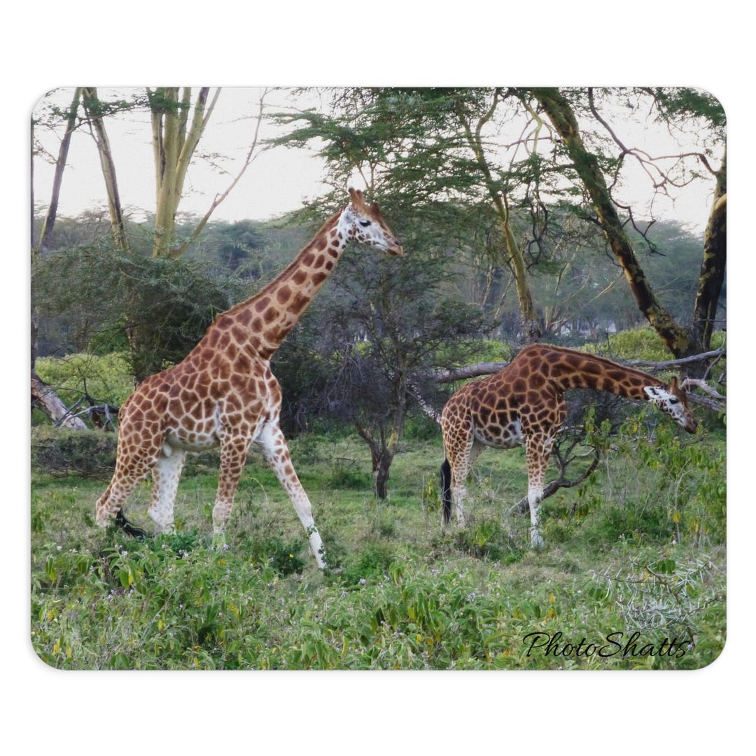 Giraffe Family Mouse Pad: African Safari Photo Office Decor - Etsy