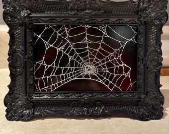 Vintage/antique Frame With Preserved Spider Web - Etsy