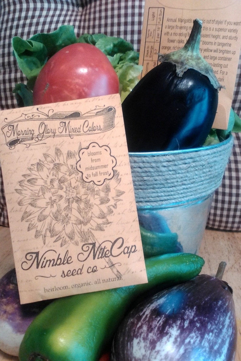 Heirloom Old German Tomato Seeds Vegetable Garden Organic Non | Etsy