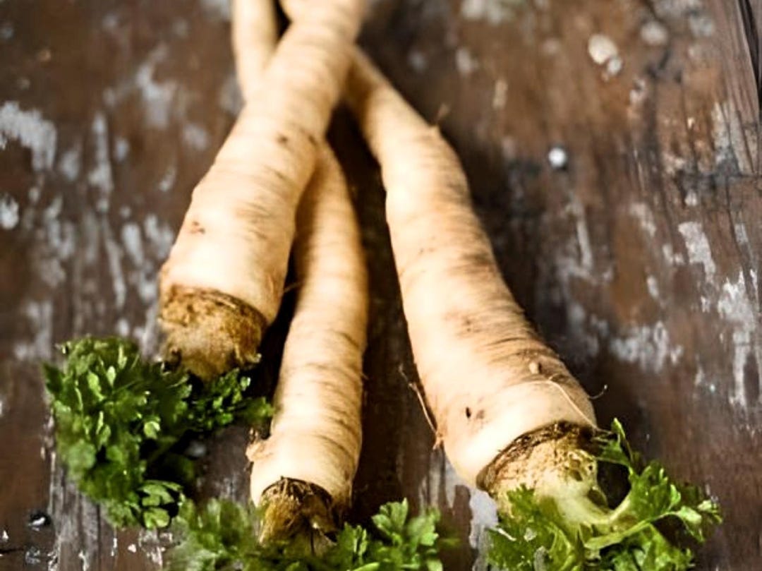 Heirloom Harris Model Parsnip Seeds - Organic, Non-gmo - Etsy