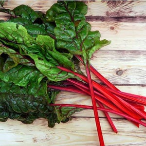Heirloom Ruby Red Swiss Chard Seeds - Container Friendly, Ornamental ...