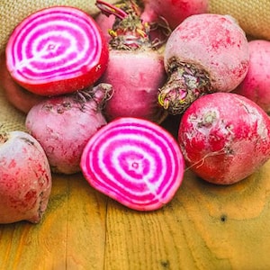 Chioggia Heirloom Beet 150+ Seeds - Bullseye Beet, Candy Cane, Organic ...