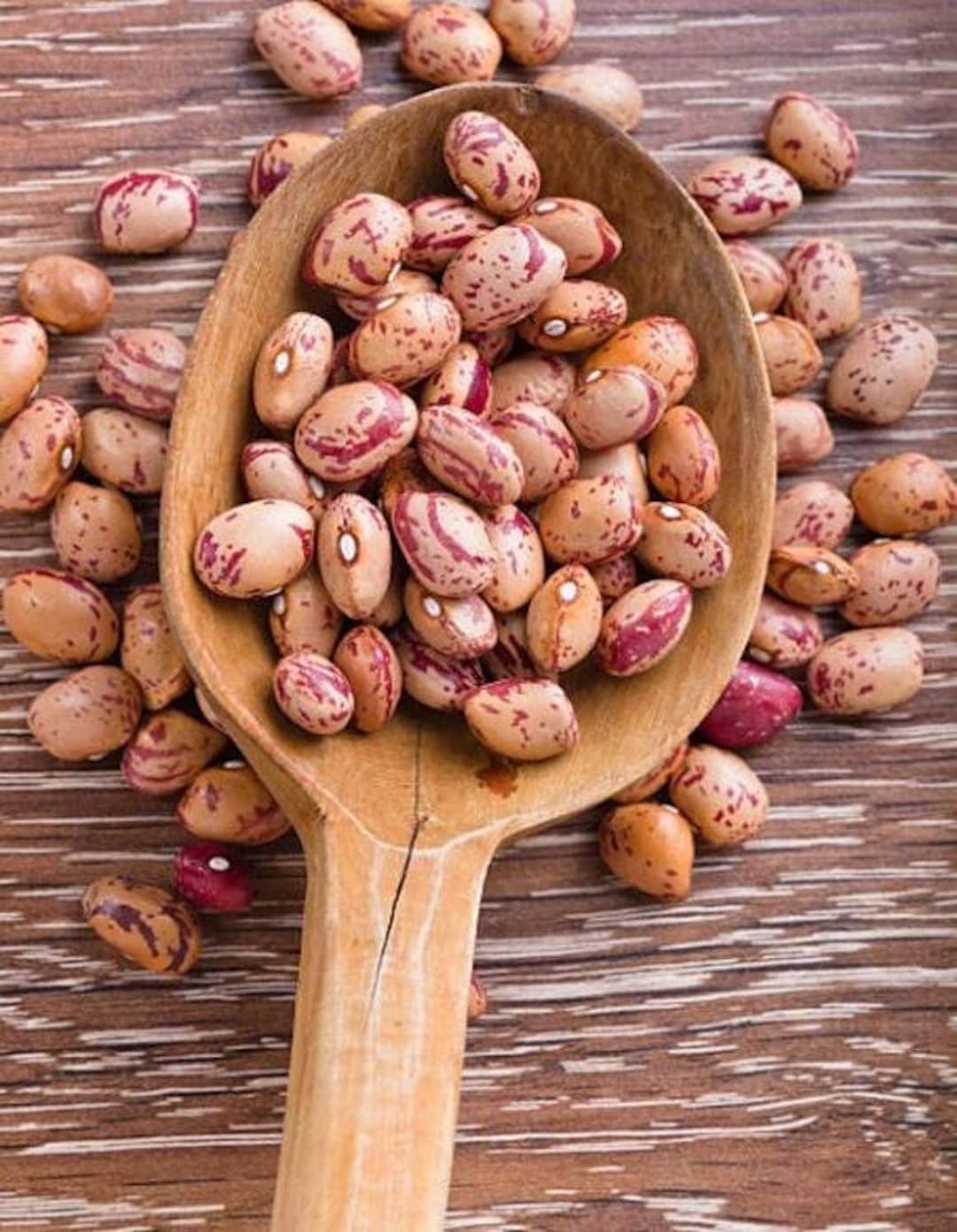 Heirloom Pinto Bean Seeds: Organic, Non-gmo, Half Runner Variety - Etsy