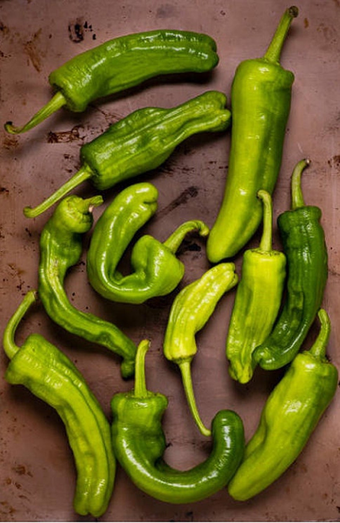 Peperoncini Pepperoncini Griechisch Gold Pfeffer Samen Bio - Etsy ...