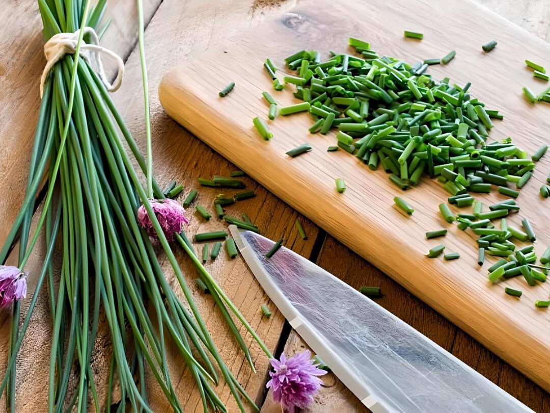 Heirloom Common Chives Seeds - Etsy
