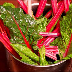 Heirloom Ruby Red Swiss Chard Seeds - Container Friendly, Ornamental ...