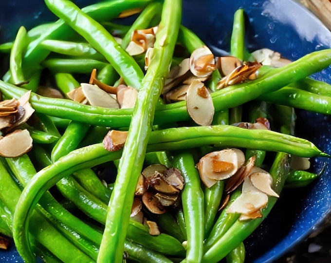 2 Green Beans Plants in a 4" Pot/ Organic /vine Two Options: Green Bean ...