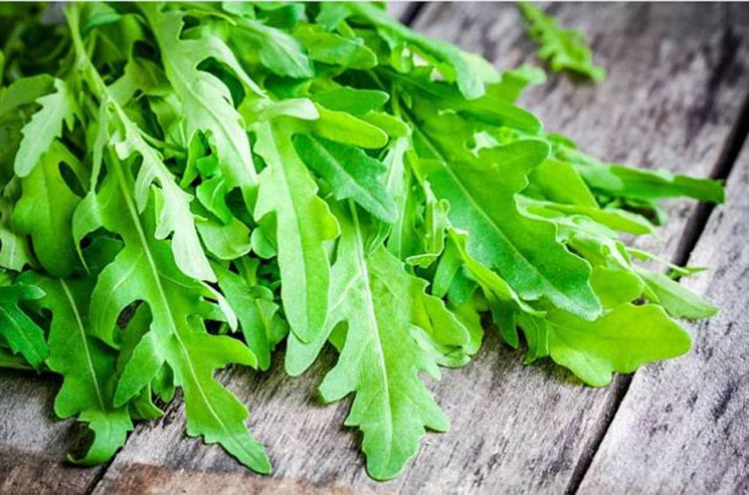 Heirloom Rocket Arugula Seeds - Organic, Non-gmo, Container Friendly ...
