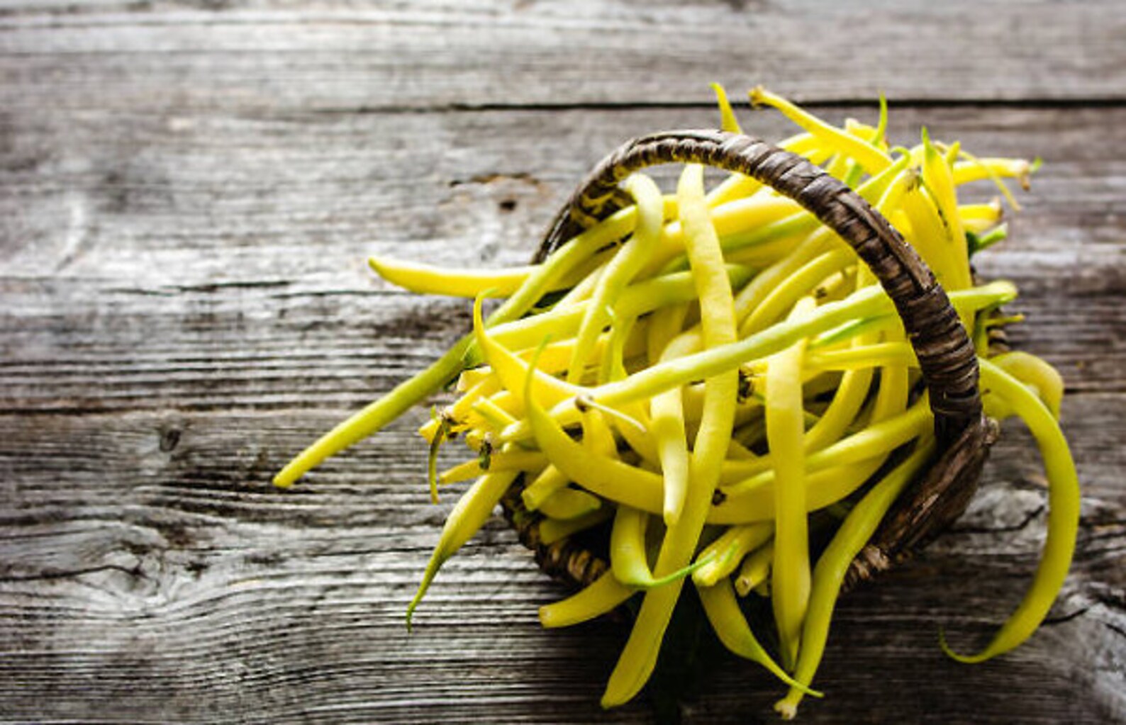 Heirloom Gold Rush Bush Bean Seeds Organic, Non-gmo - Etsy