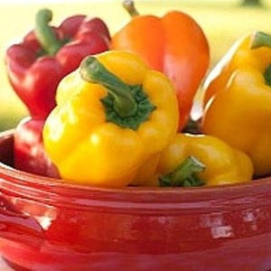 California Wonder Sweet Bell Heirloom Pepper Seeds - Etsy