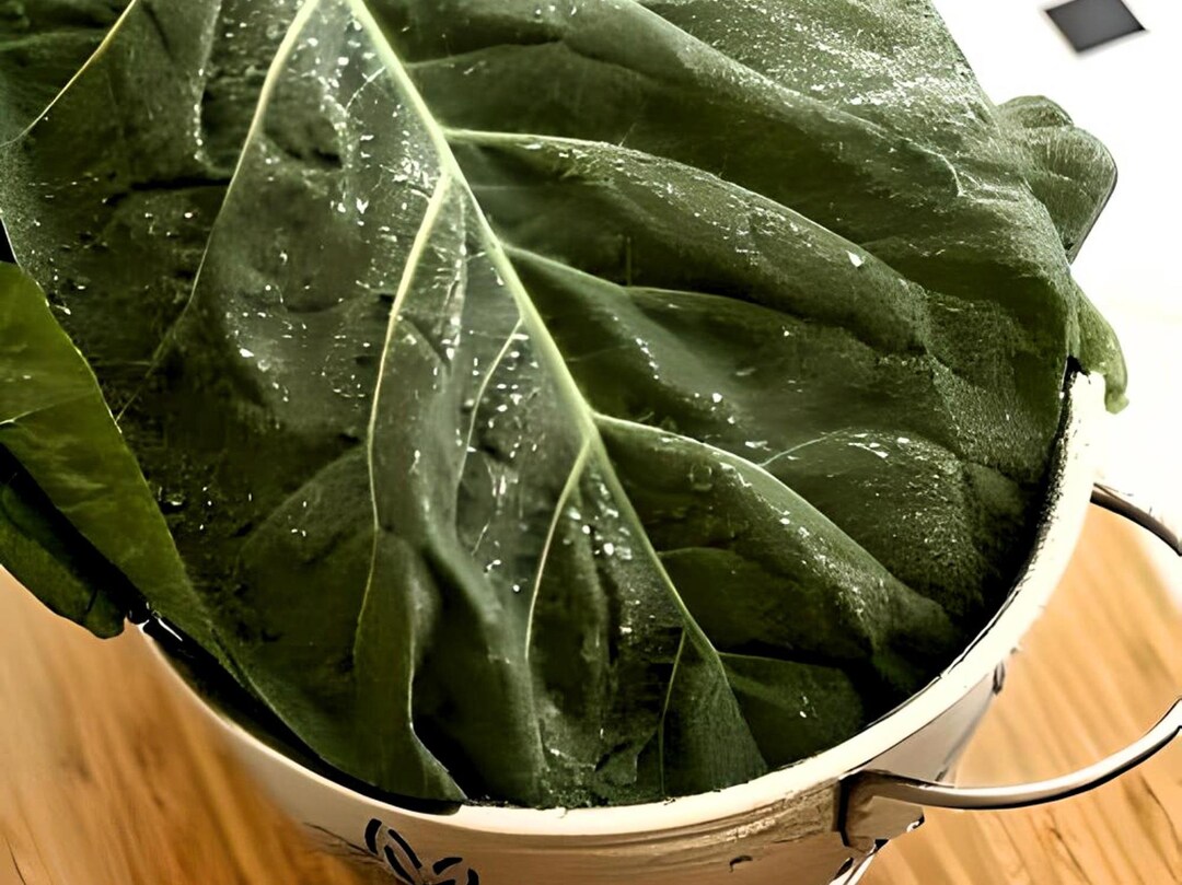 Collards Morris Heading Heirloom Seeds: Organic, Non-gmo - Etsy