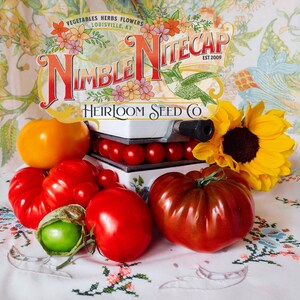 Poivron banane doux - + de 25 graines, héritage hongrois, facile à ...