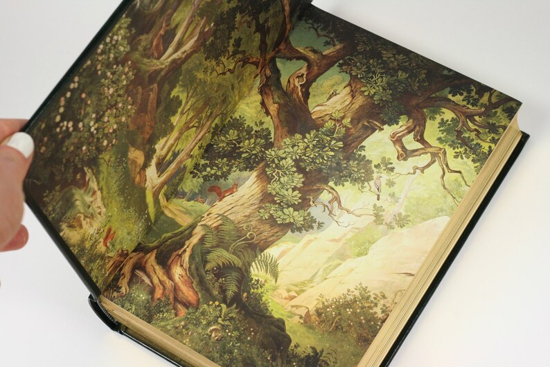 Grimms Fairy Tales Hollow Book Box: Green & Gold Booksafe - Etsy