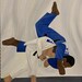 Ippon Seoi Nage Original Oil Painting (24''x30'') by 5th Dimension Art ...