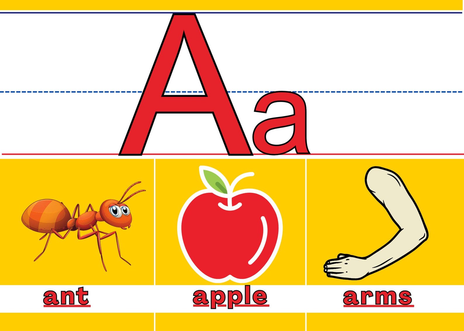 Alphabet Flash Card From A to Z With 3 Example Each Letter, Writing ...