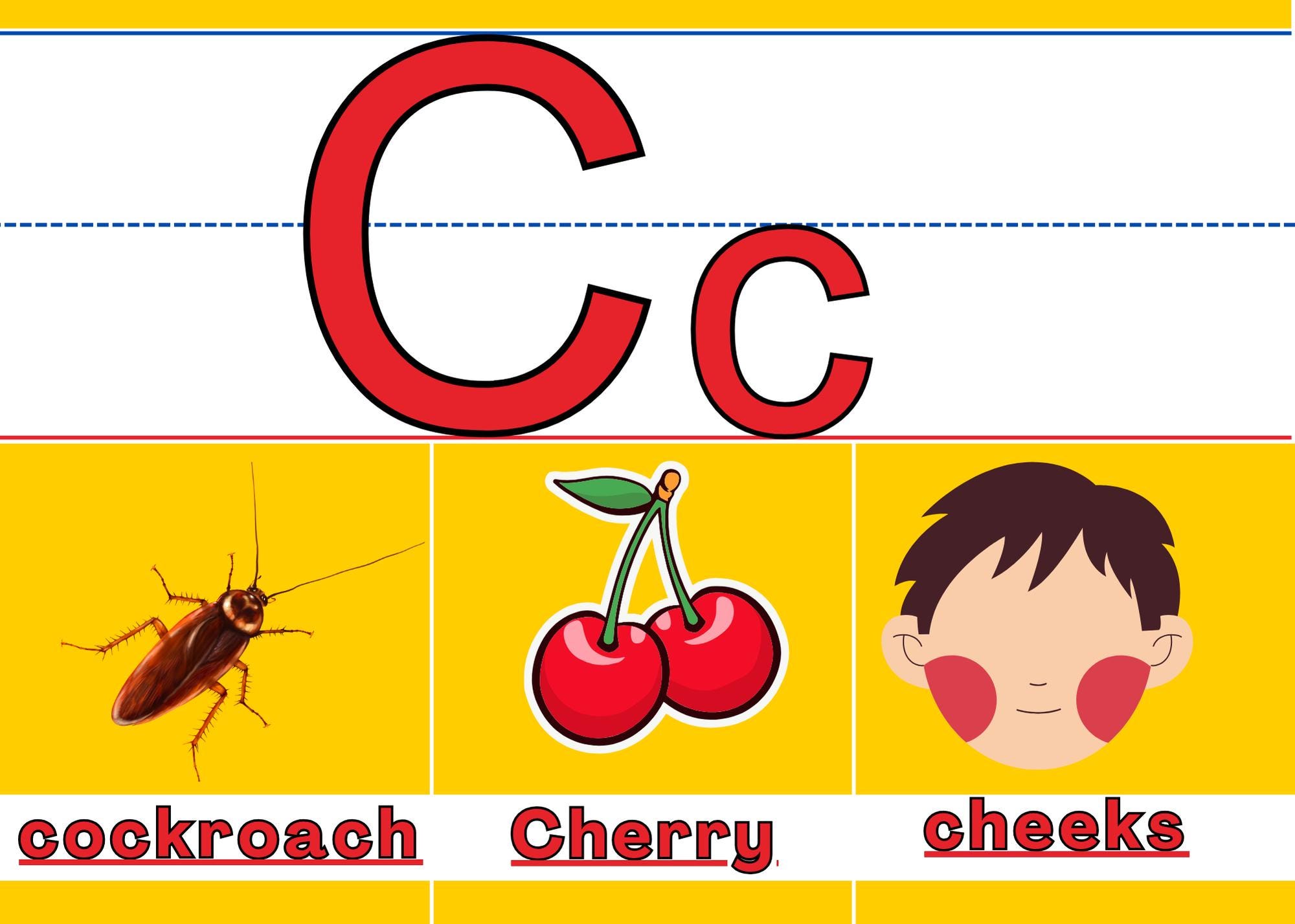 Alphabet Flash Card From A to Z With 3 Example Each Letter, Writing ...