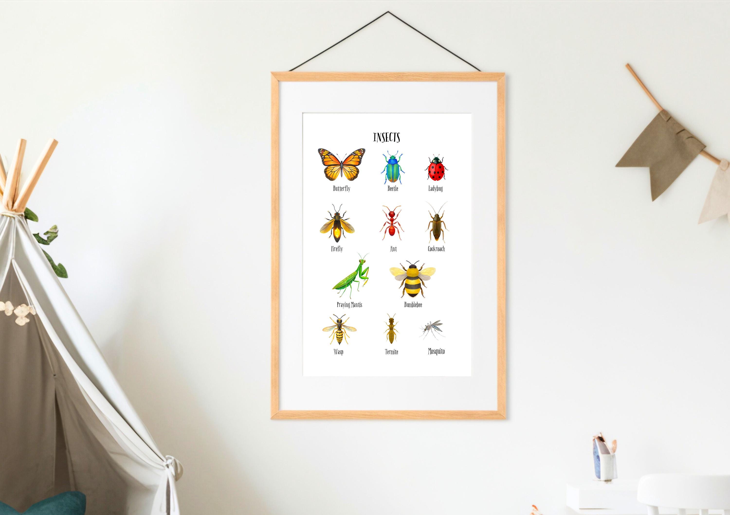 Insects Educational Poster for Kids, Nursery Wall Art, Insects Names ...