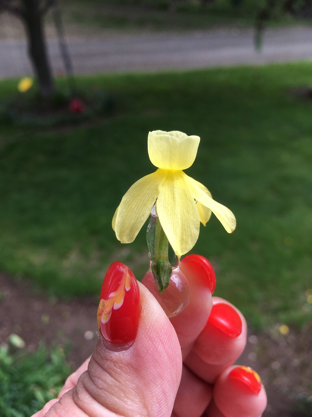 Posy Pin,lapel Vase Pin or Necklace, Pin, Brooch,tussie Mussie,glass ...