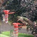 NEW! Single New Flower Micro Hum-fi™, Mini Hand Held Hummingbird Feeder ...