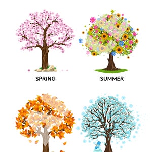 Printable Educational Posters for Teachers - Colours, Numbers, Days ...