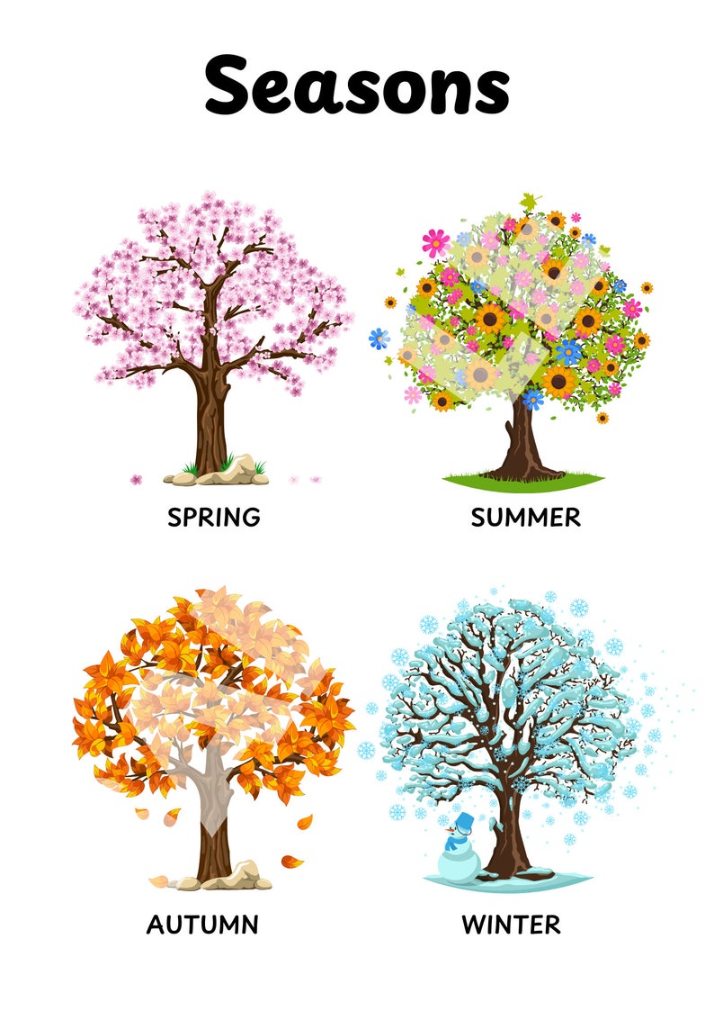 Printable Educational Posters for Teachers - Colours, Numbers, Days ...