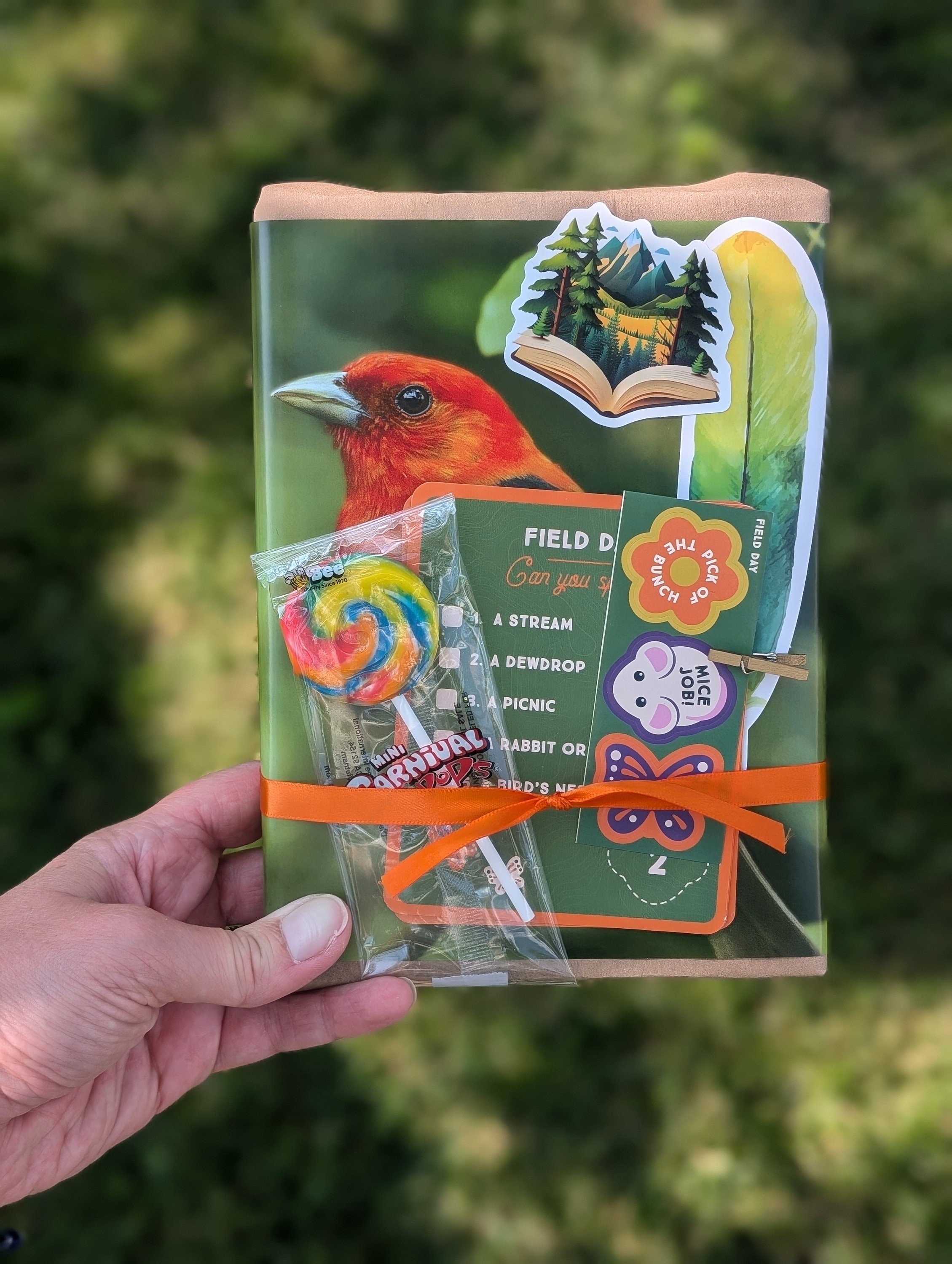 Surprise Book - KID'S SUMMER Reading - Gift for Young Readers - Etsy