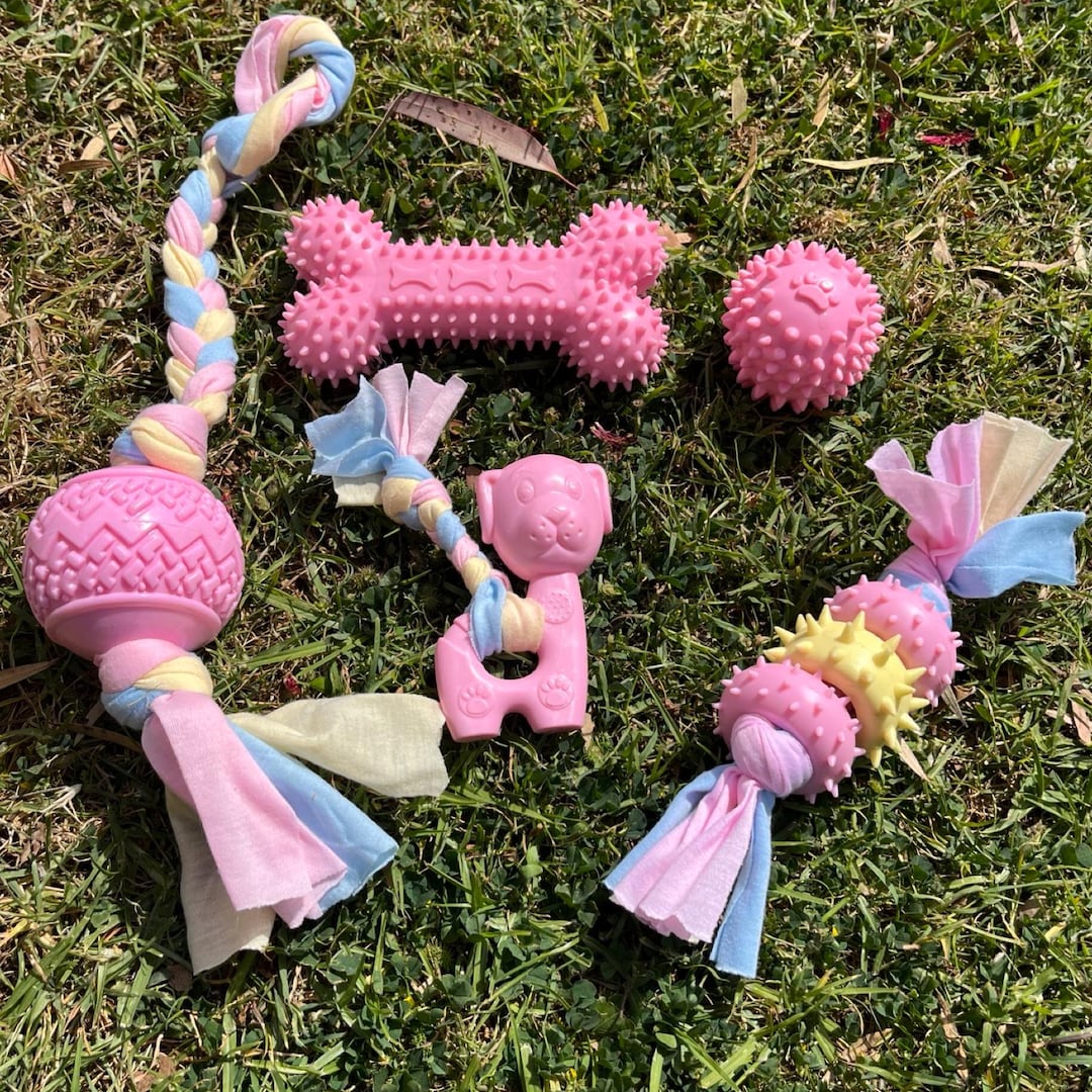 TPR Pet Chew Toy Set | Dental Cleaning | Small Dogs | Interactive ...
