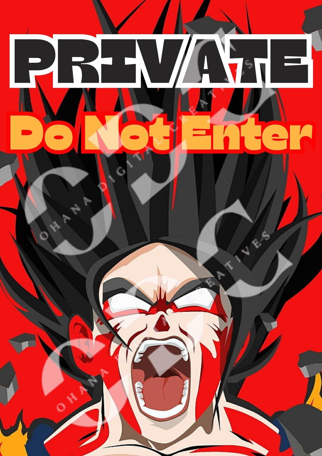 PRIVATE Do Not Enter, Dragon Ball Z Son Goku Anime Warning Sign ...