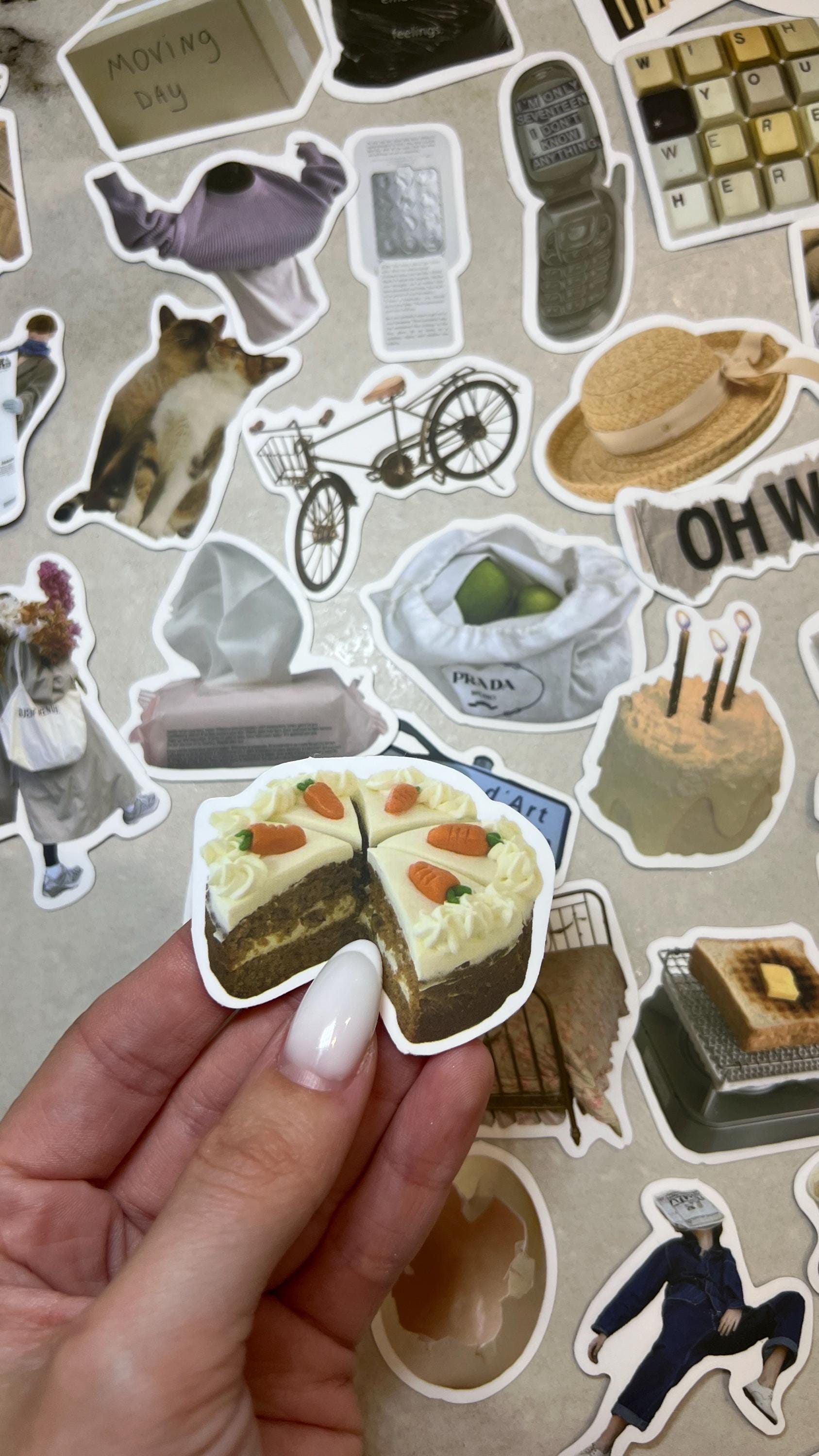 60 Pinterest Aesthetic Stickers,waterproof Stickers,laptop Stickers ...